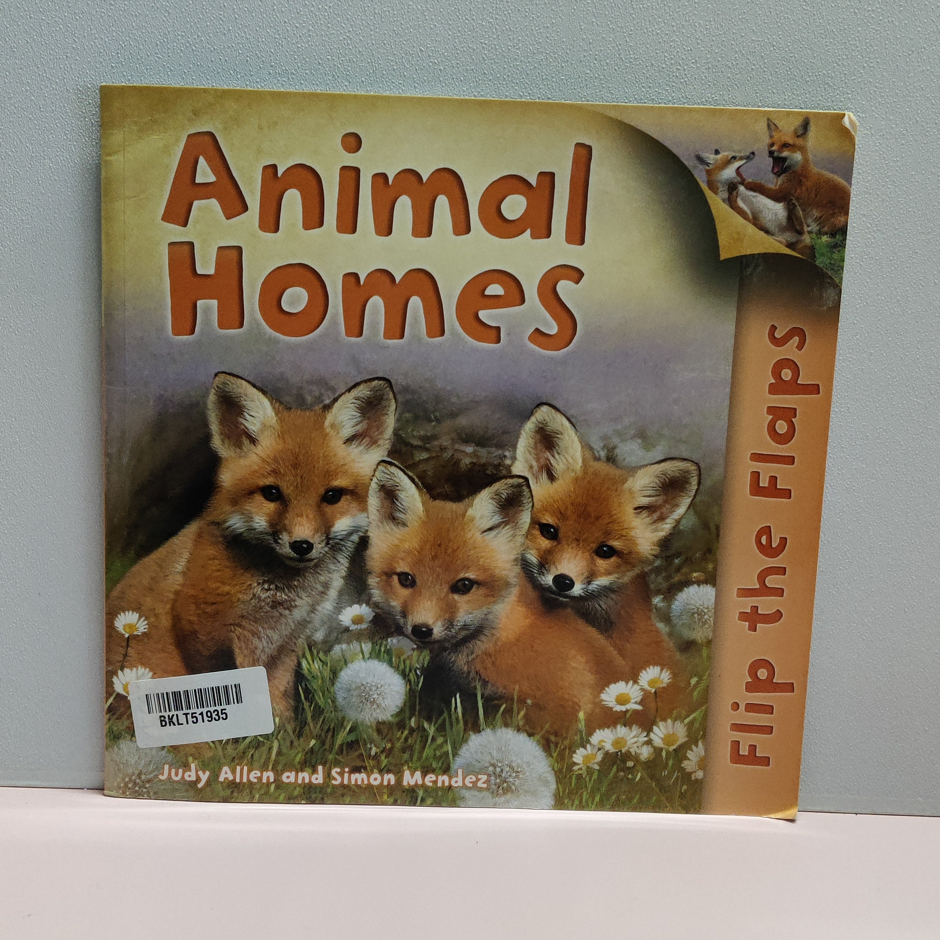 Animals Homes - BKLT51935 – Extrokids