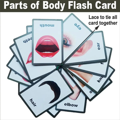 Wooden Flash Cards - Parts Of The Body - EKW0277 – Extrokids