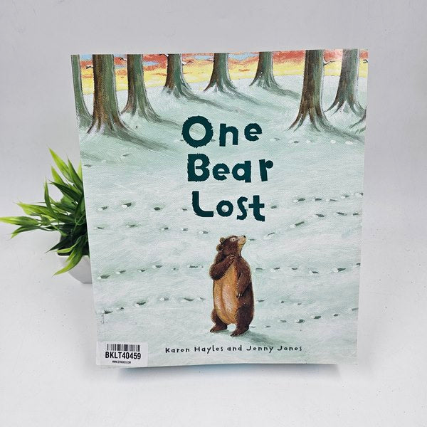 One Bear Lost - BKLT40459 – Extrokids