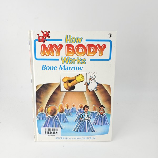 How My Body Works Bone Marow - BKLT41821 – Extrokids