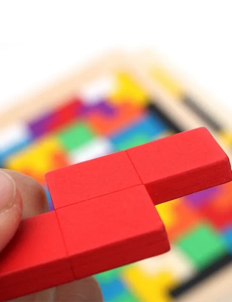 Wooden Intelligence Puzzle - EKT0528 – Extrokids
