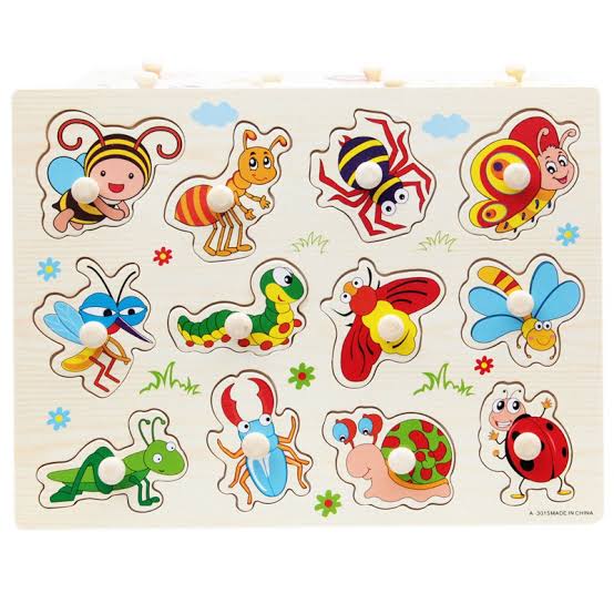 Extrokids Children Educational Wooden Insect Puzzle with Knob - EKT191